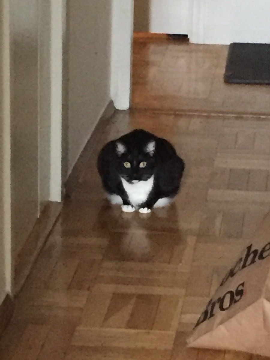 Amara Mesnik (@AmaraMesnik) | Twitter