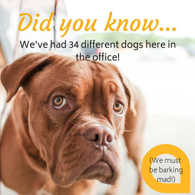 Toby Buckley (@risualtoby) | Twitter