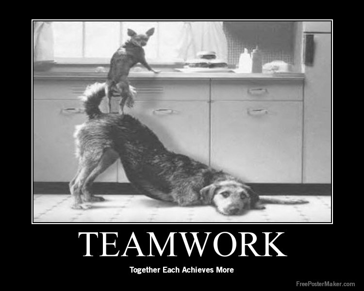 Poisson Rouge Ar Twitter Love This Teamwork Meme teamwork poisson-rouge-ar-twitter-love-this-teamwork-meme-teamwork