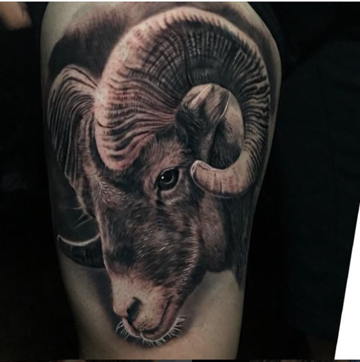Realistic Aries Tattoo