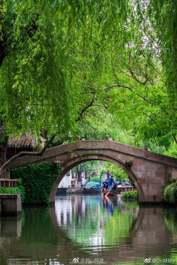 Yesi Pan (@TrionCapital) | Twitter