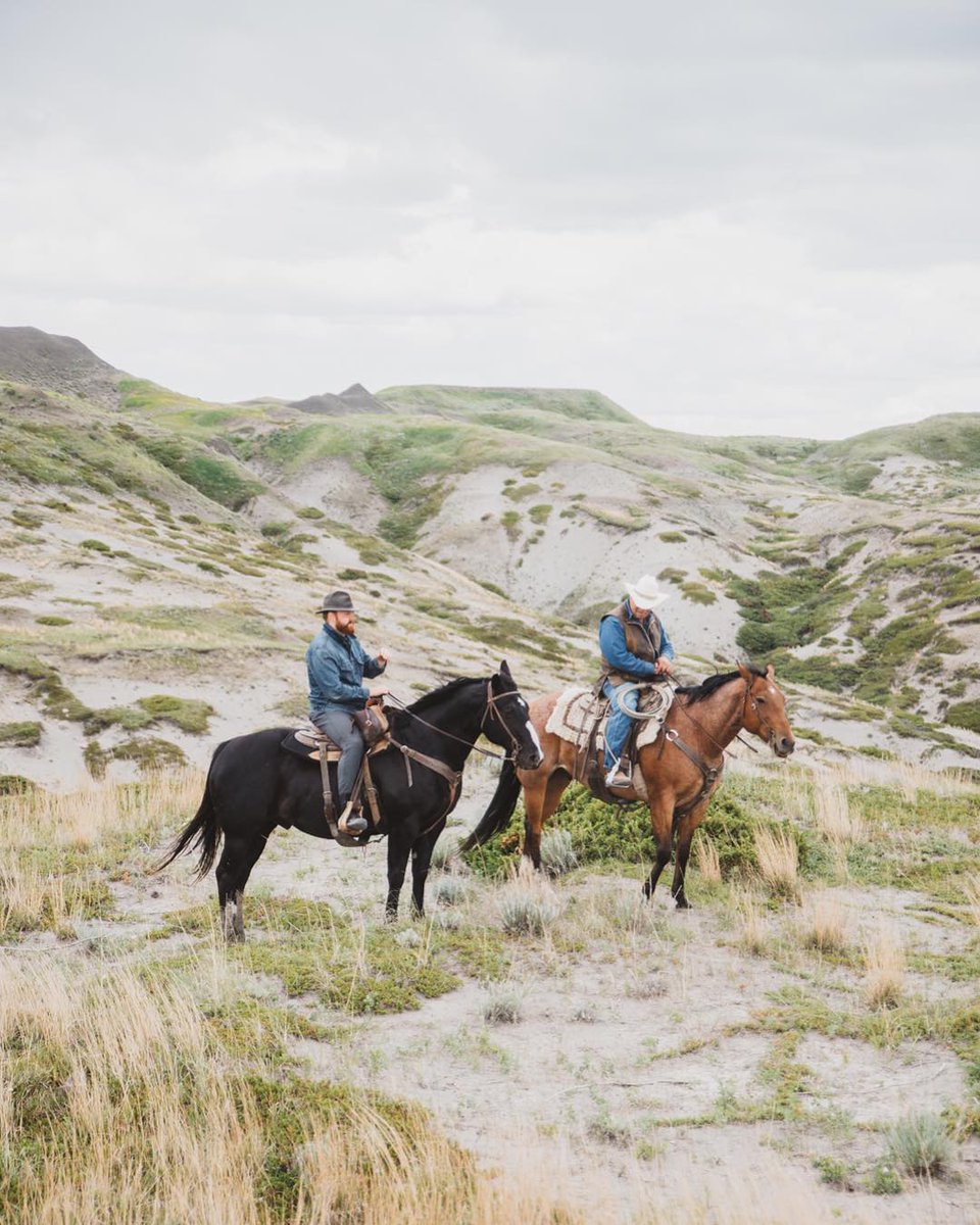 Md Bokul Hossain (@bokulhossain181) | Twitter