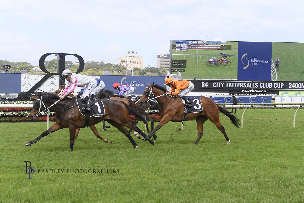 Age Limit on Racehorses - Thoroughbred Horse Racing and Breeding Forums ...