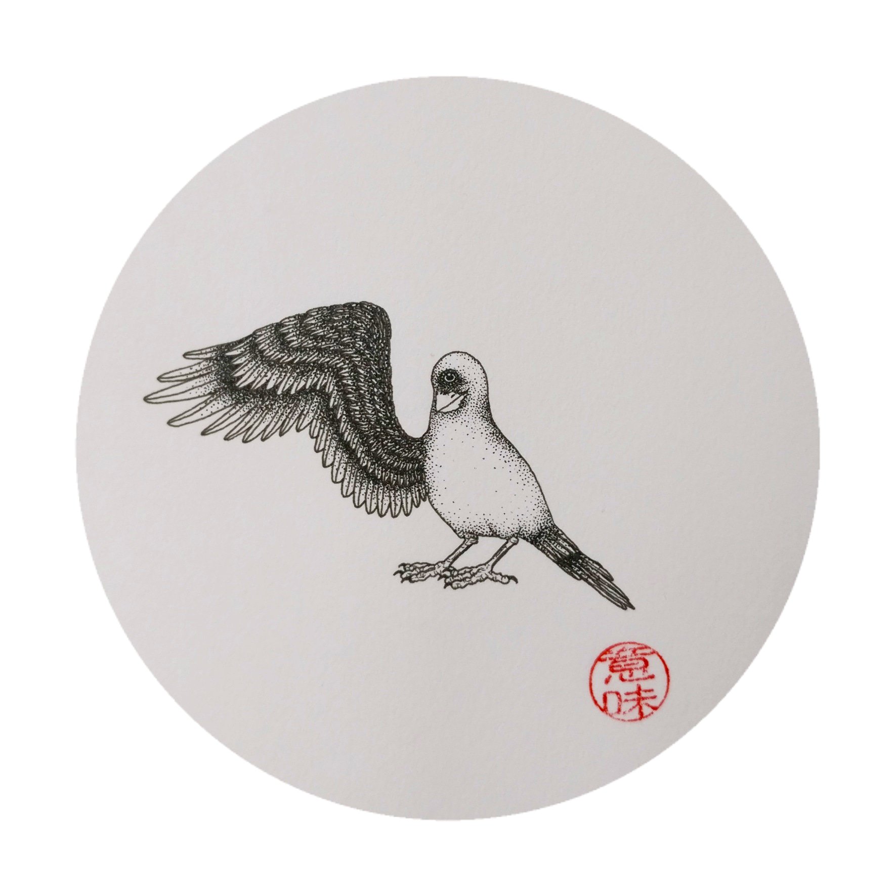 Jian Bird Bird Drawings — Kellas Campbell Art