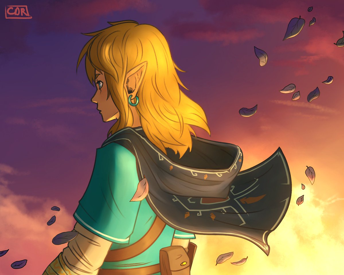 Which Link hairstyle do you like better? Ponytail or Loose? | ResetEra