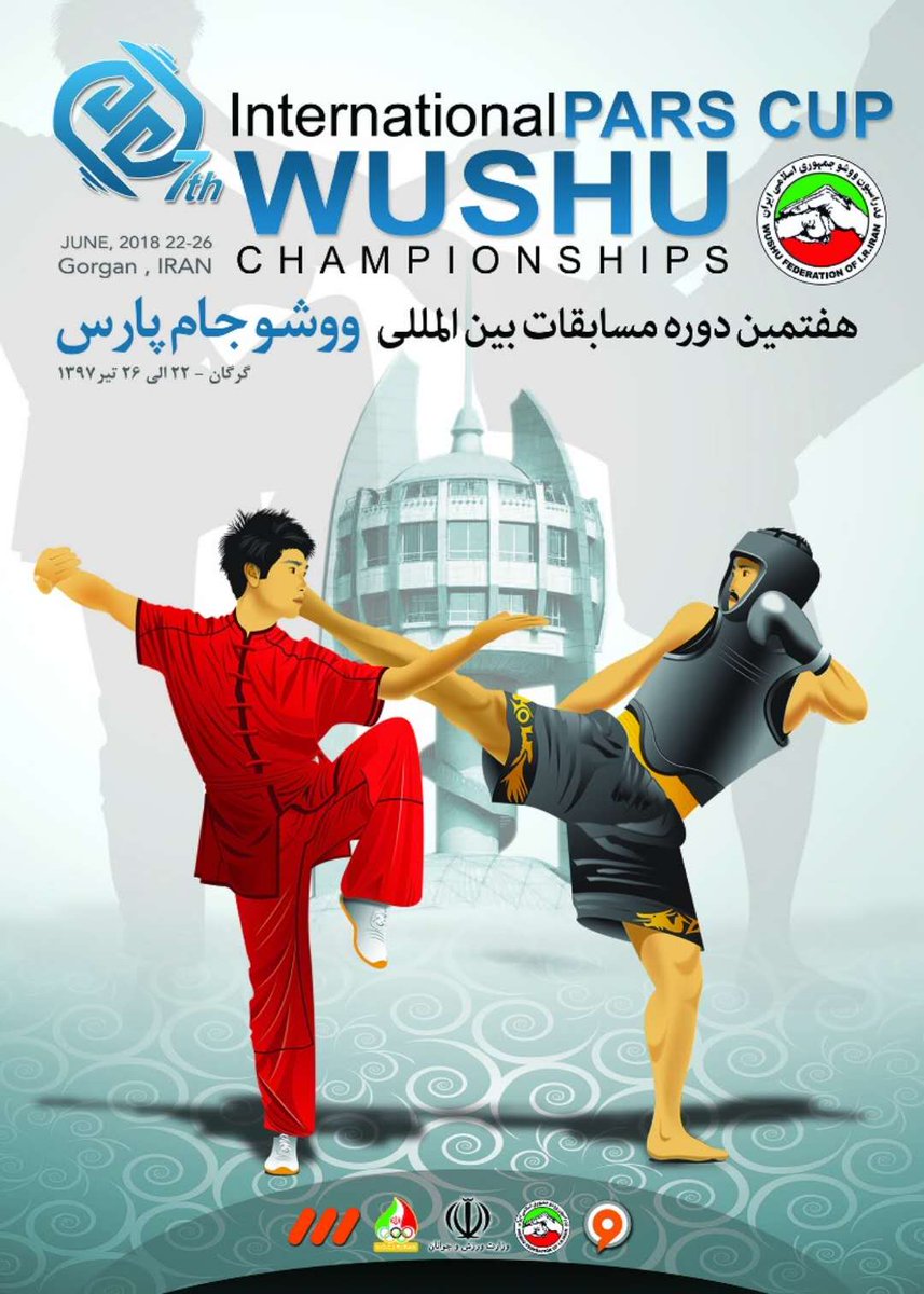 Wushu Sanda Wallpaper