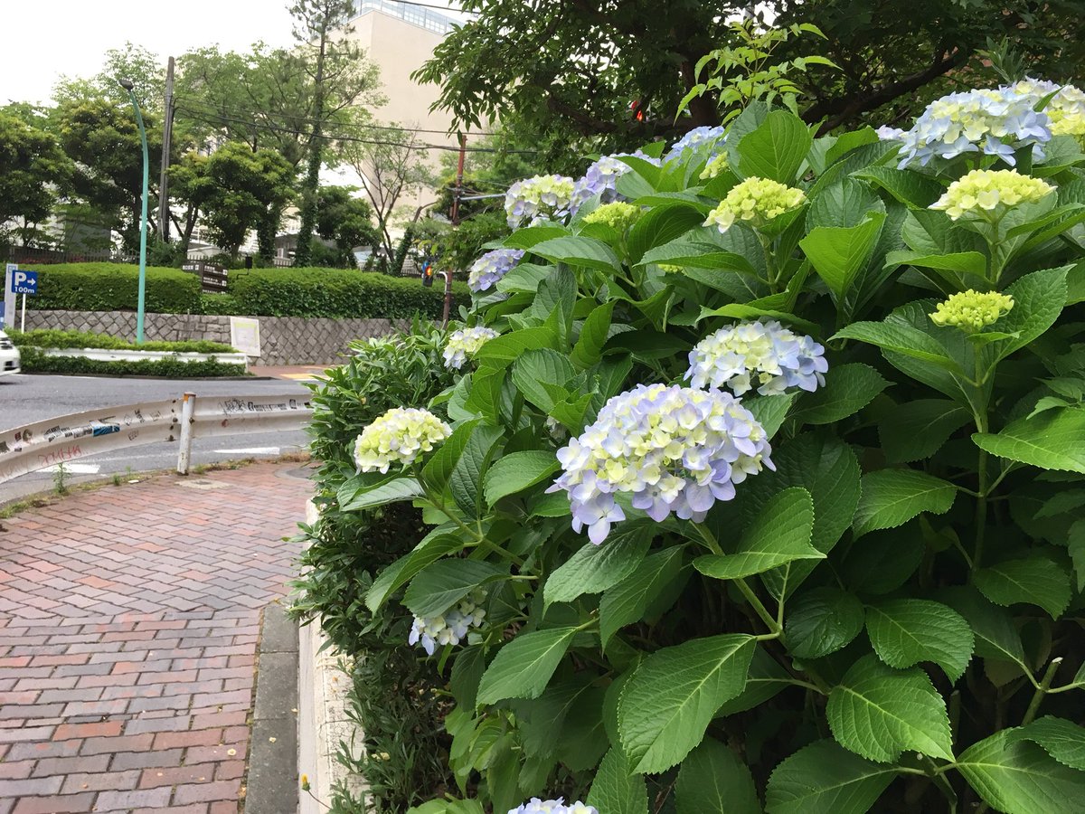 Good morning! Filling in on the morning shift for NHK Newsline! Check ...