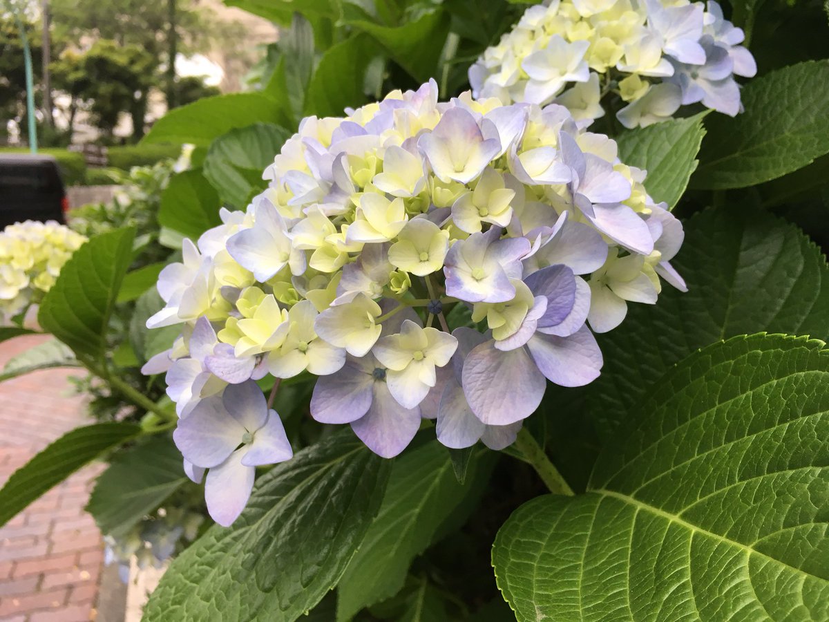 Good morning! Filling in on the morning shift for NHK Newsline! Check ...