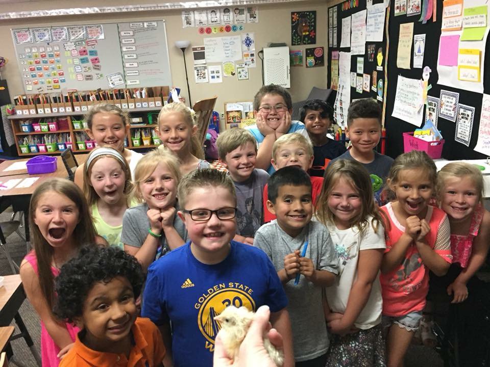 Springer Elementary School