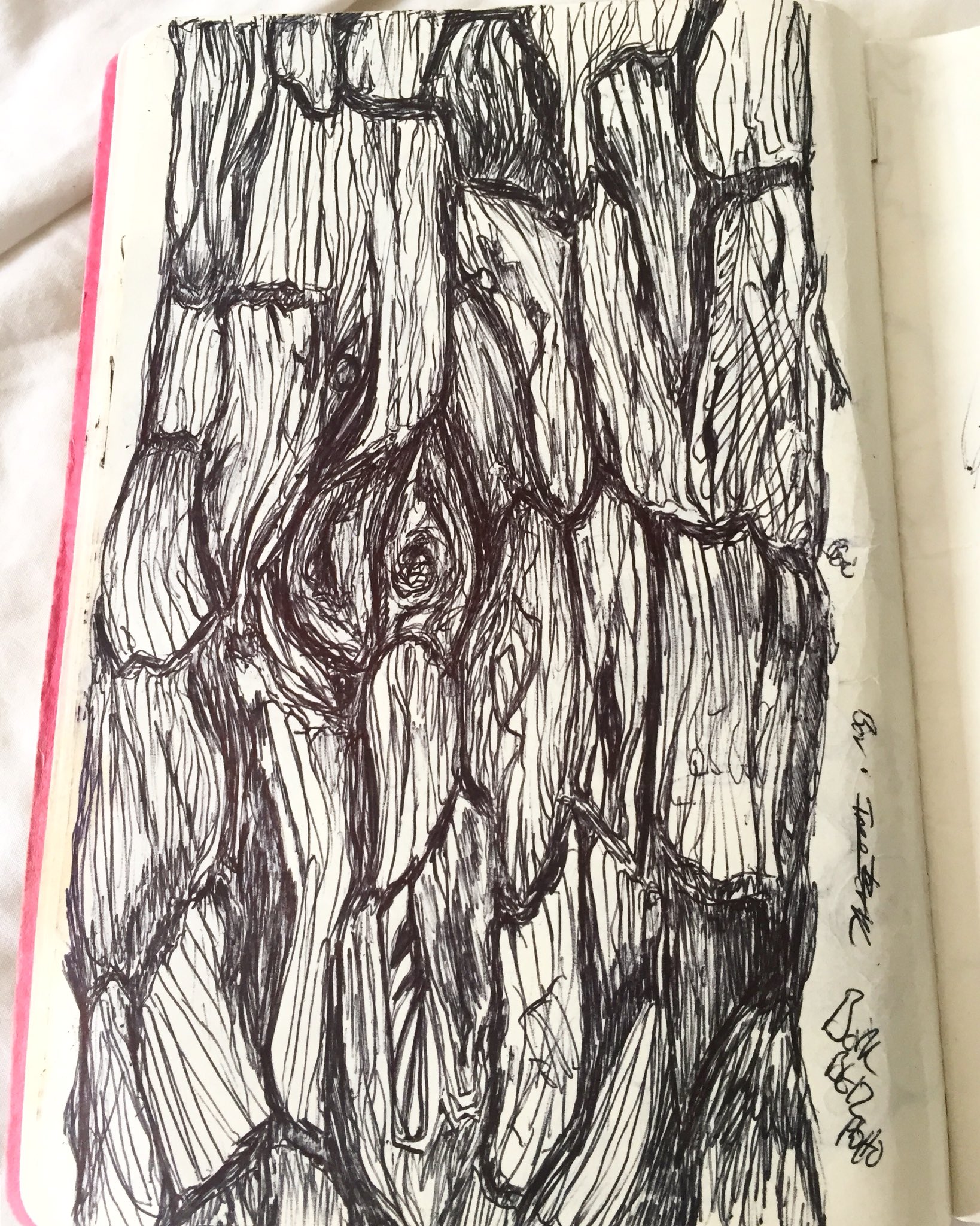 Tree Bark Line Drawing