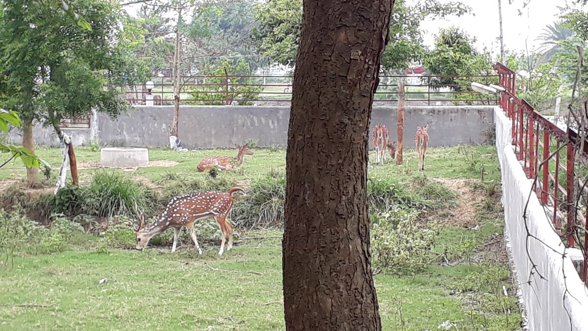 Hedaye Tullah (@heday_id) | Twitter