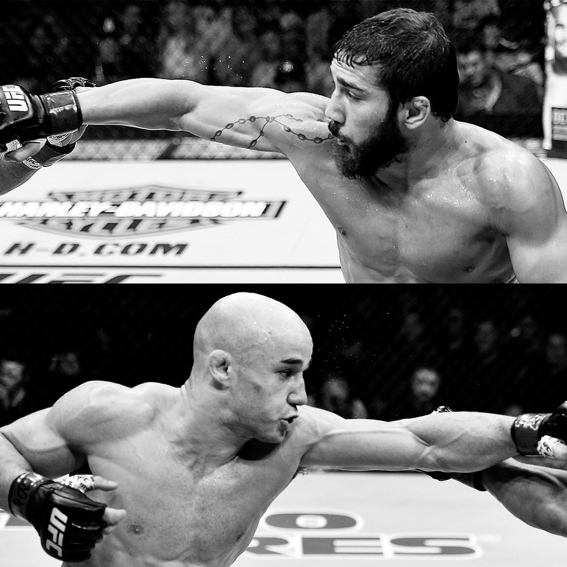 Daniel Del Duca (@Bt618) | Twitter