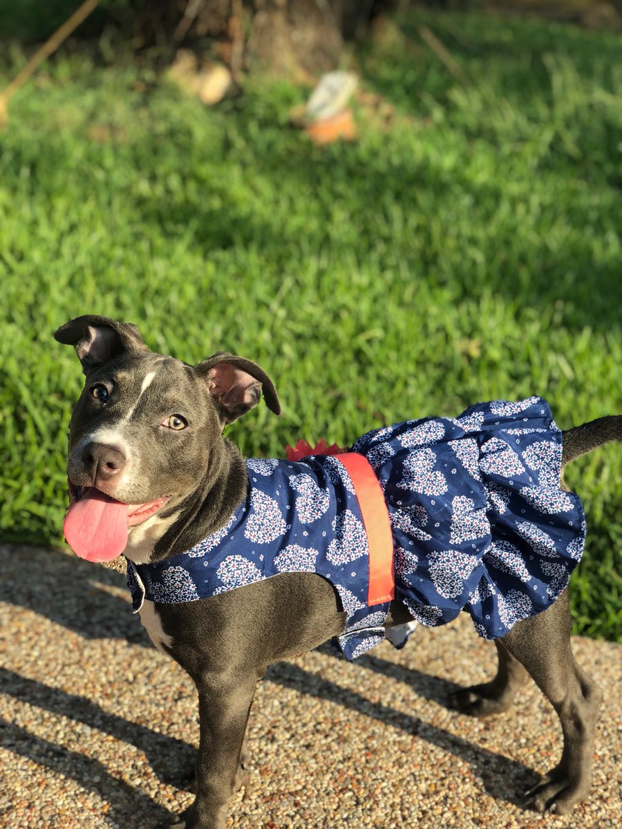 Hannah Banana 🍌 (@hans_kimes) | Twitter