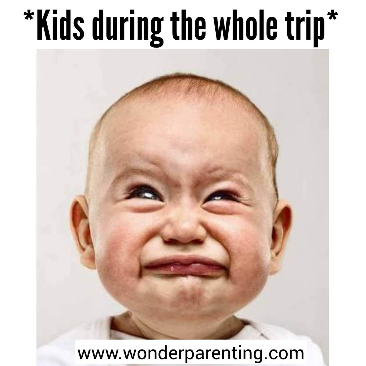 Sarcastic Laugh Memes