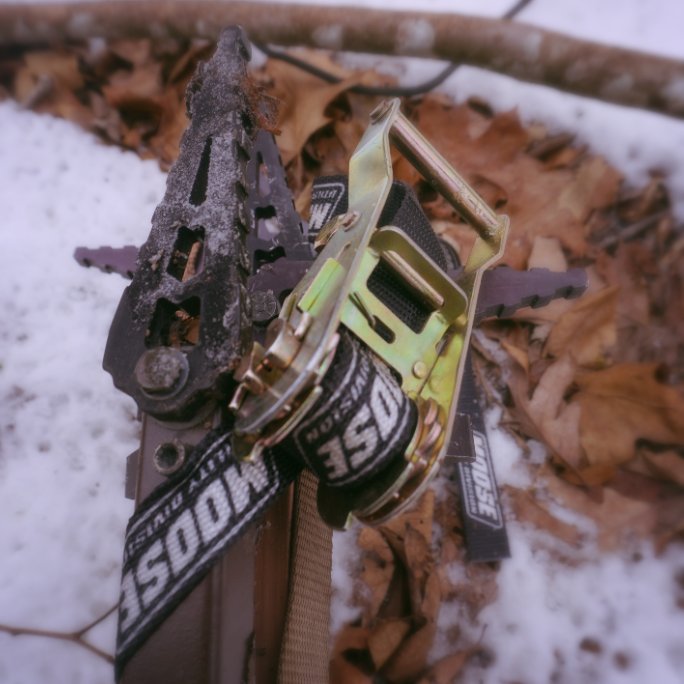 Crossbow vs. Vertical Bow | Bowhunting.com