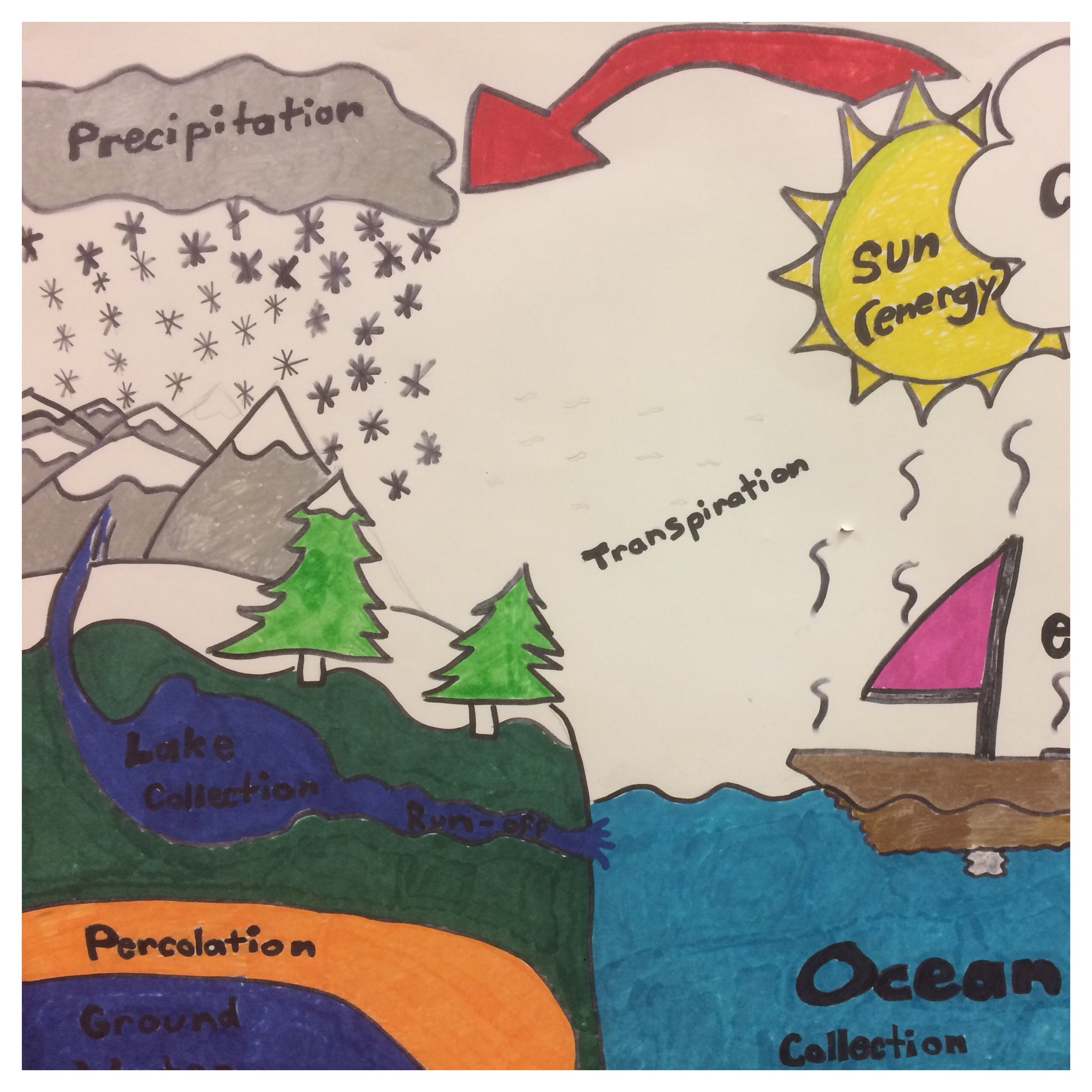 Water Cycle Projects For 7th Grade