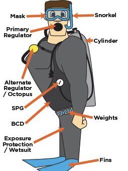 Scuba Gear Diagram