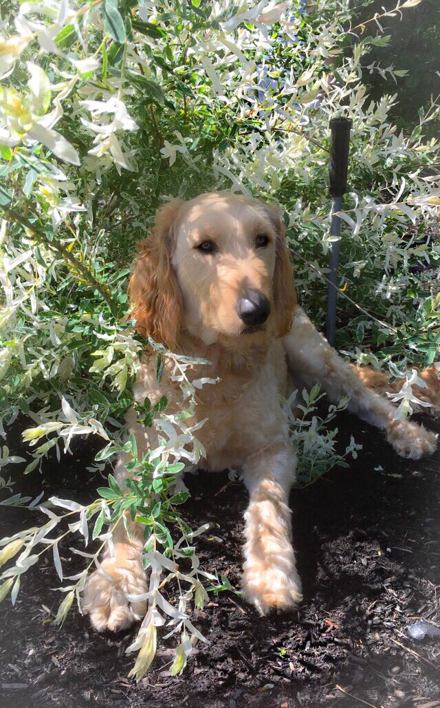 Jackie Stack (@JstackersRN) | Twitter