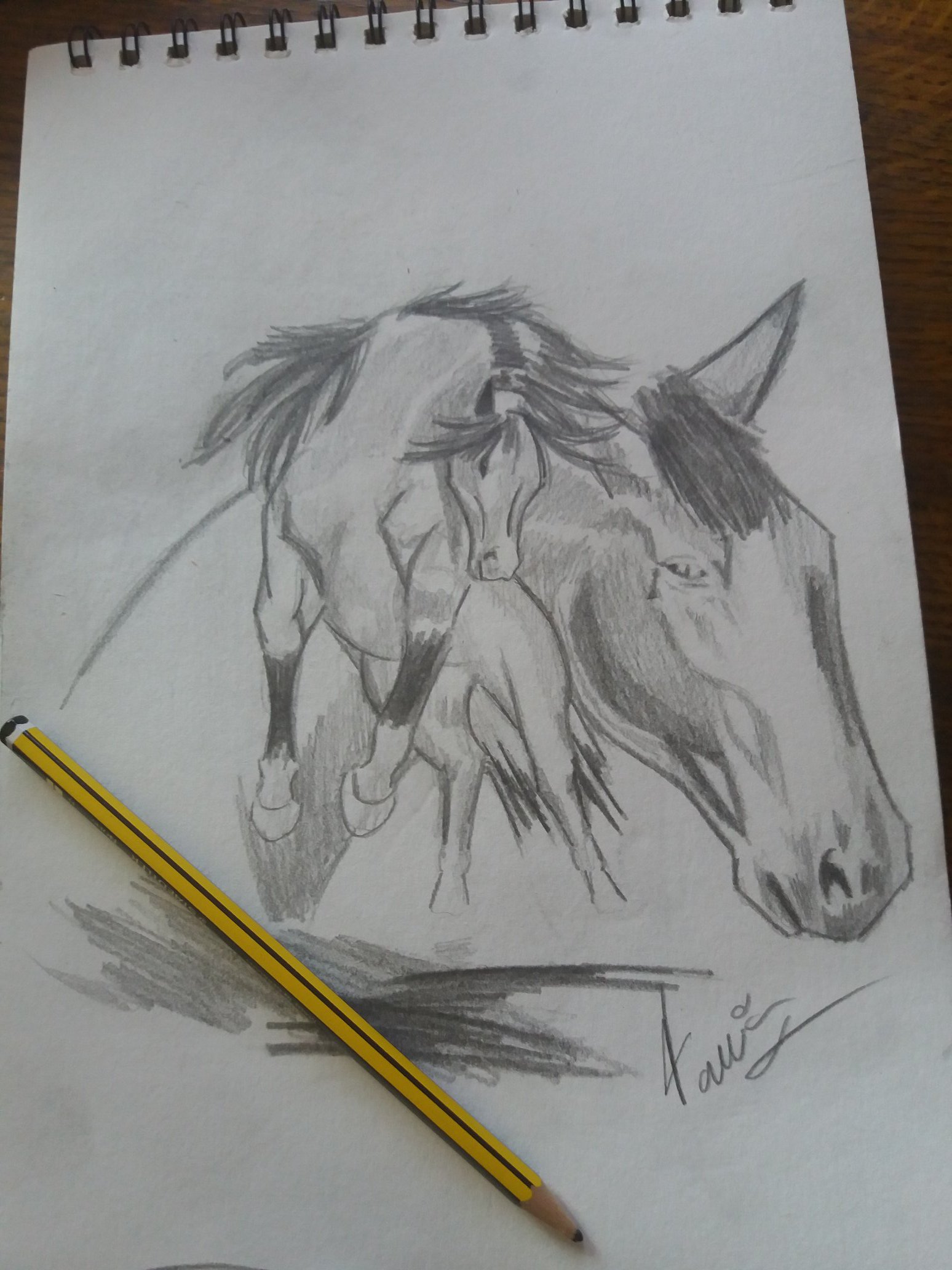 Dibujos A Lapiz De Caballos