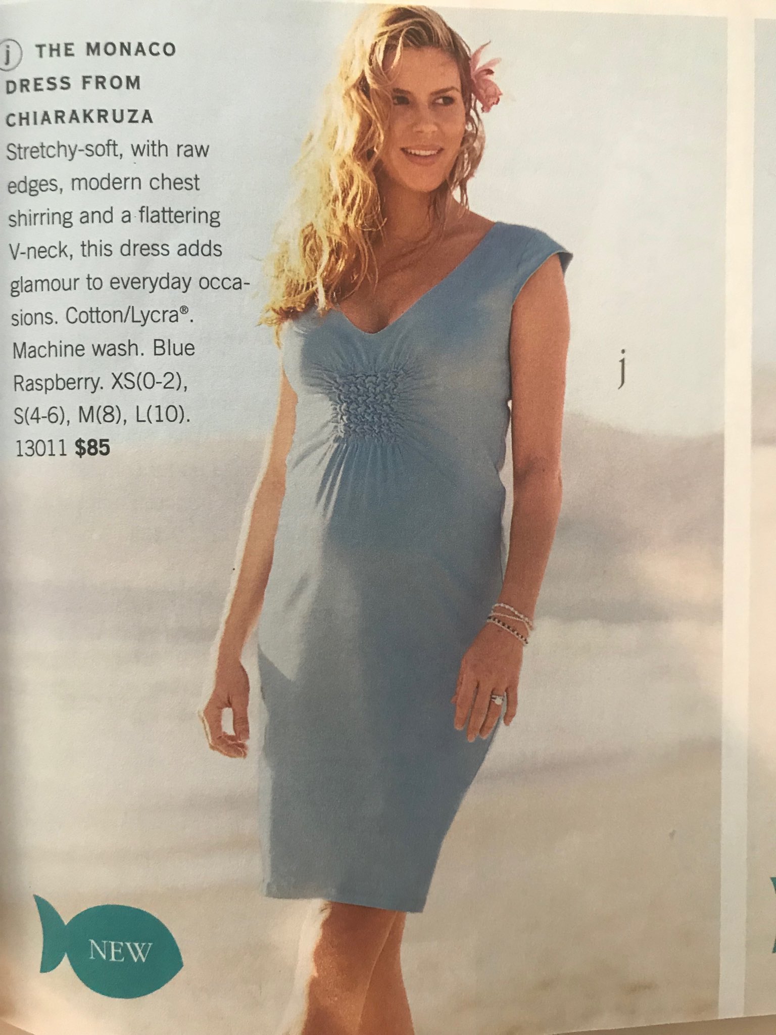 Brandi Glanville Model Brandi Glanville Model