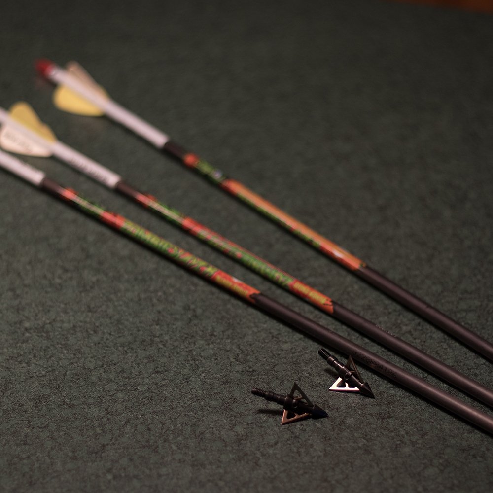 Anatomy of a Compound Bow | Bowhunting.com