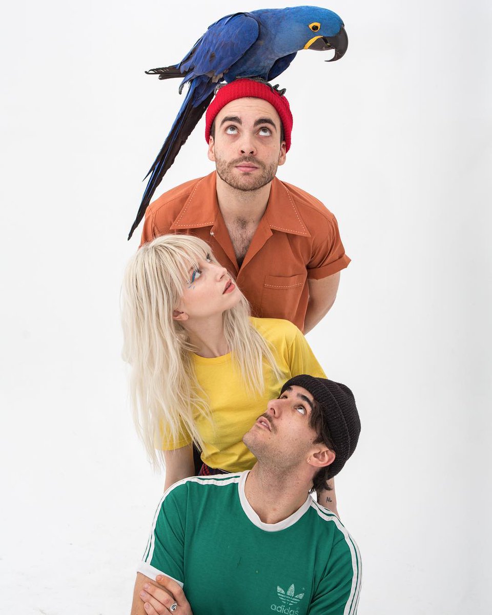 Paramore Photoshoot