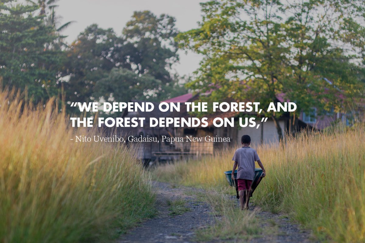 Famous Deforestation Quotes