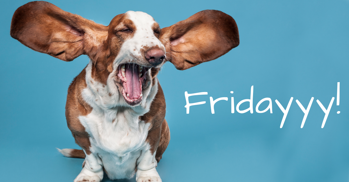 37 best Fridayyy images on Pholder | Selfie, Femboy and Femboymemes