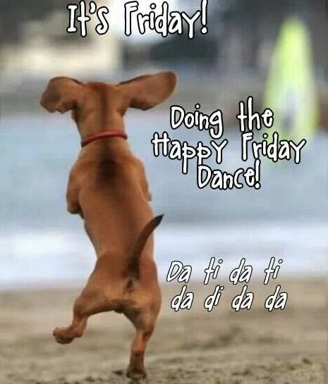 Happy Friday Dance Dog