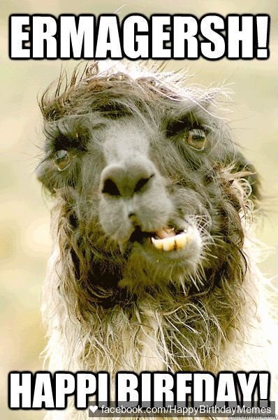 Outrageous Birthday Memes Funny Meme Birthday Card | Thortful