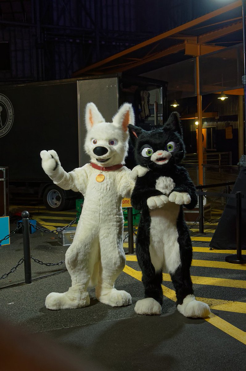 Bolt And Mittens In Love