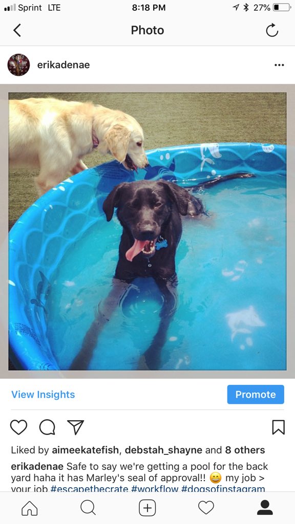 Ethan Hopper (@ethan_hopper24) | Twitter