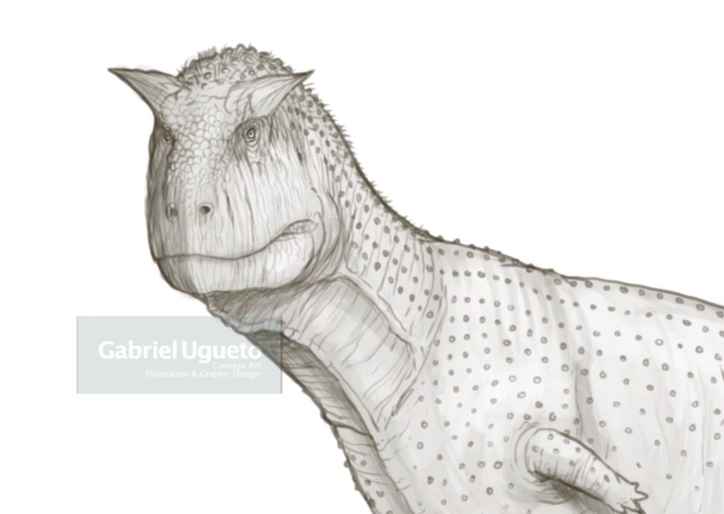 Carnotaurus Head
