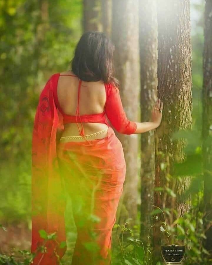 Hot Saree Back View