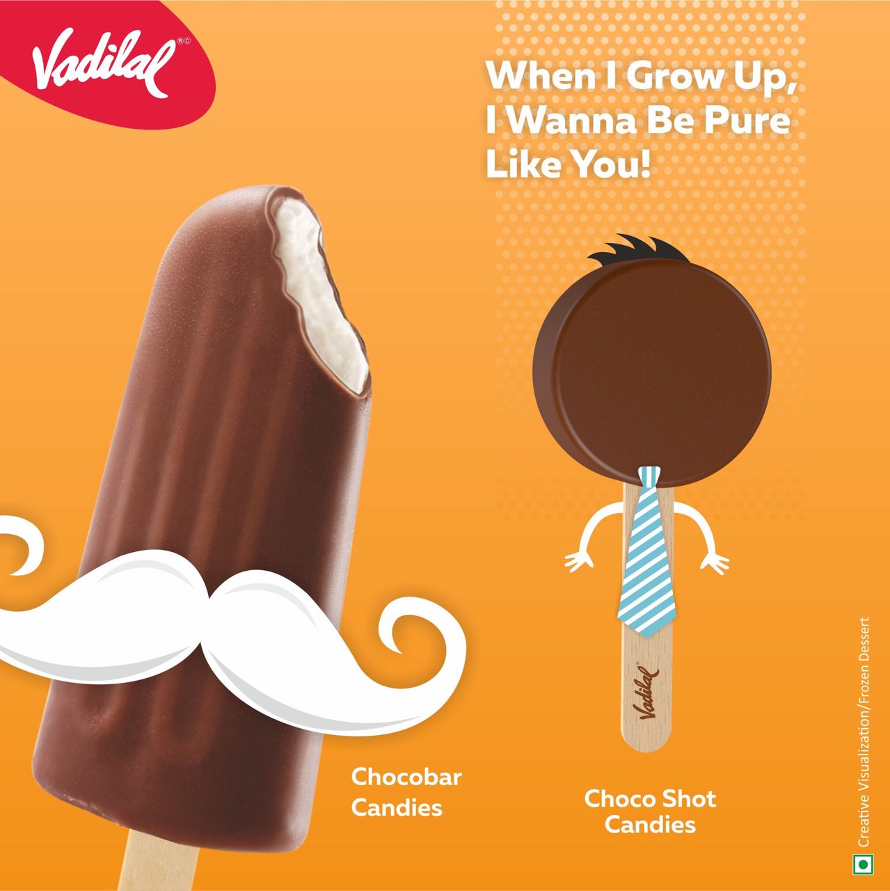 Vadilal Chocobar Ice Cream