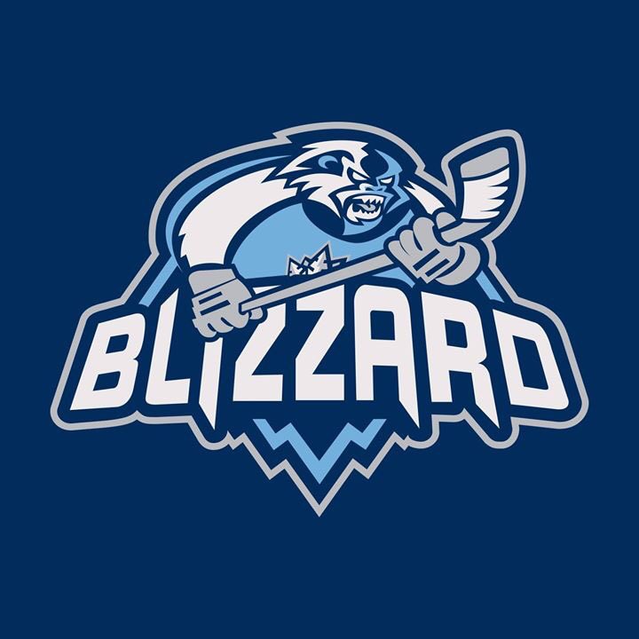 Blizzard Sports Logo