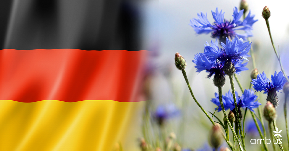 Germanys National Flower