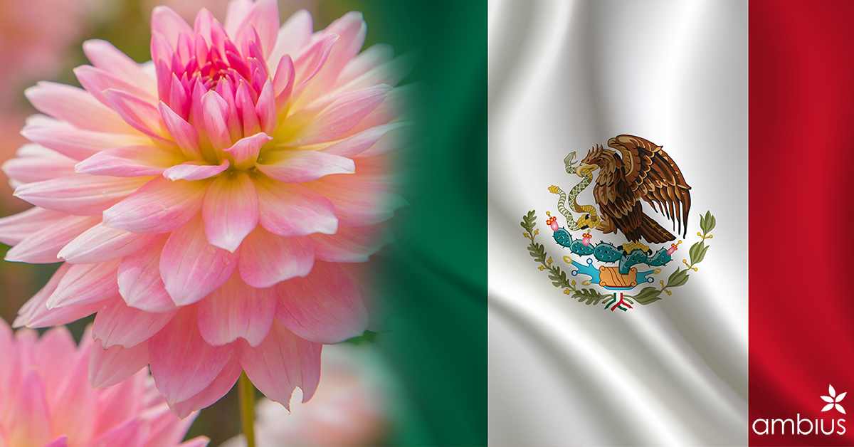 Mexican National Flower