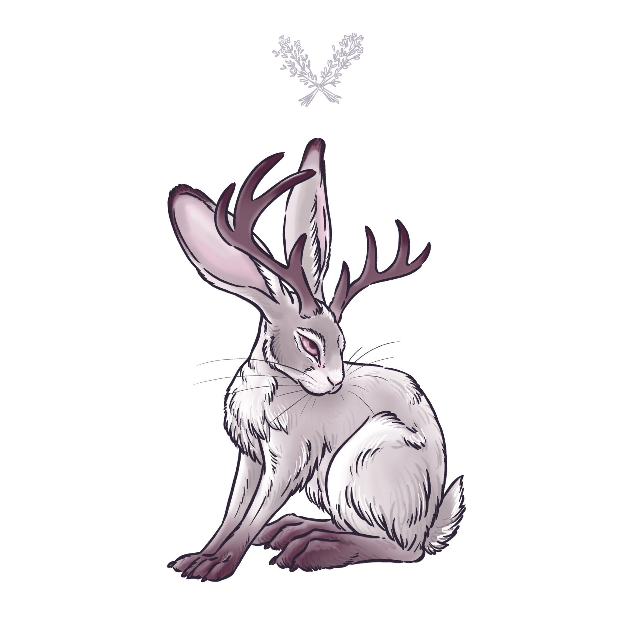 Jackalope Illustration