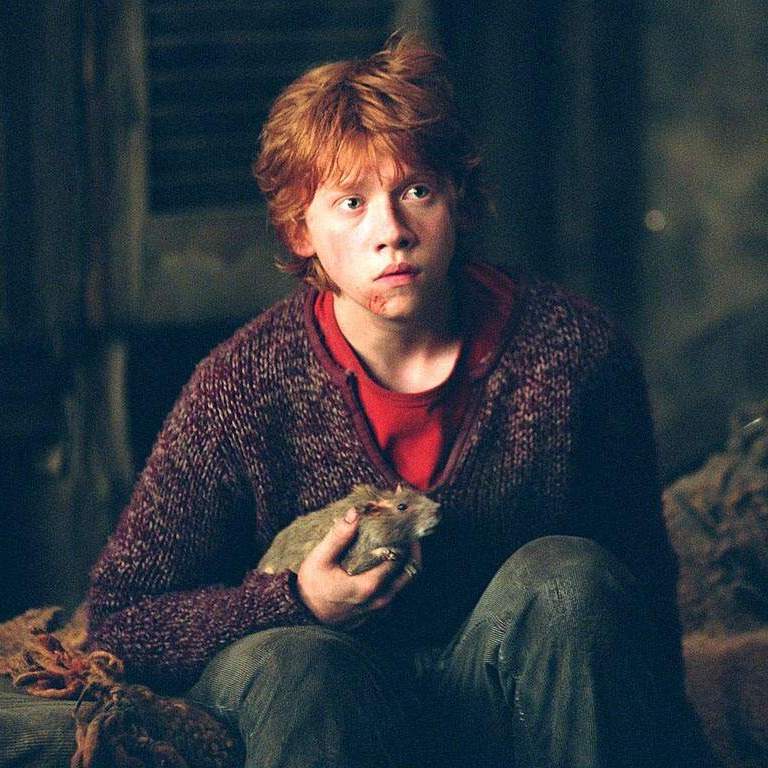 Harry Potter And The Prisoner Of Azkaban Peter Pettigrew