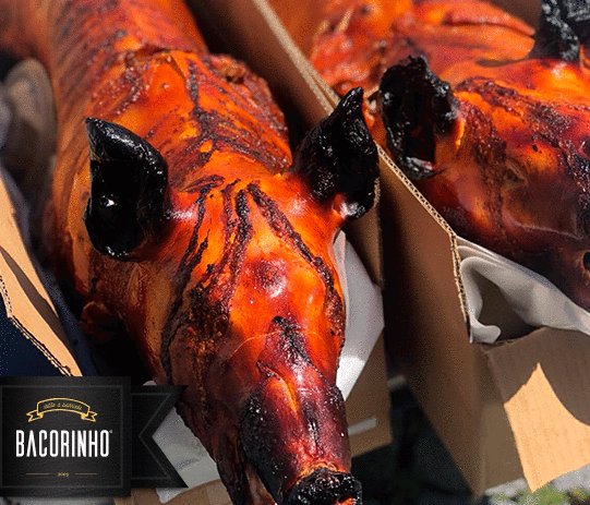 O Bacorinho (@Bacorinho_pt) | Twitter