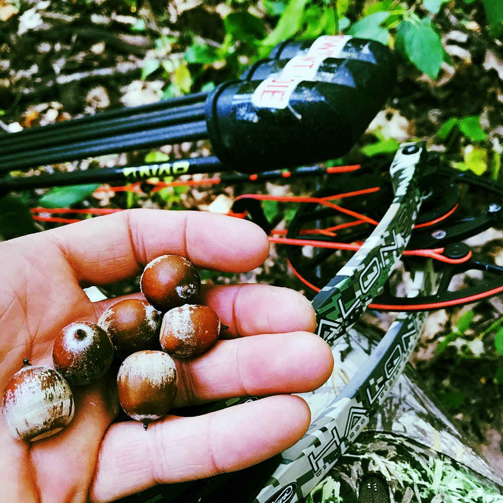 Choosing the Right Release Aid