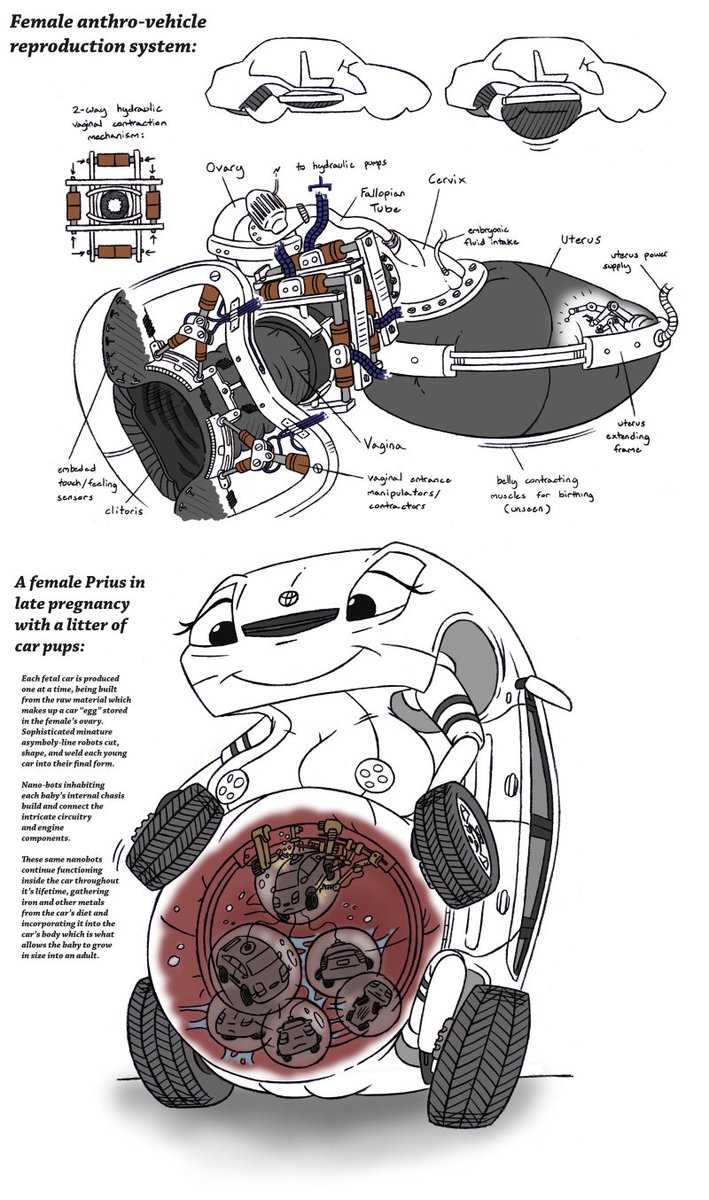 Cars Homunculus Theory