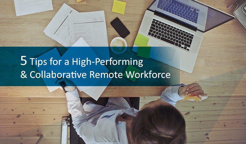 InterCall (@InterCall) | Twitter