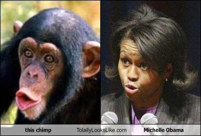 Michelle Obama Gorilla