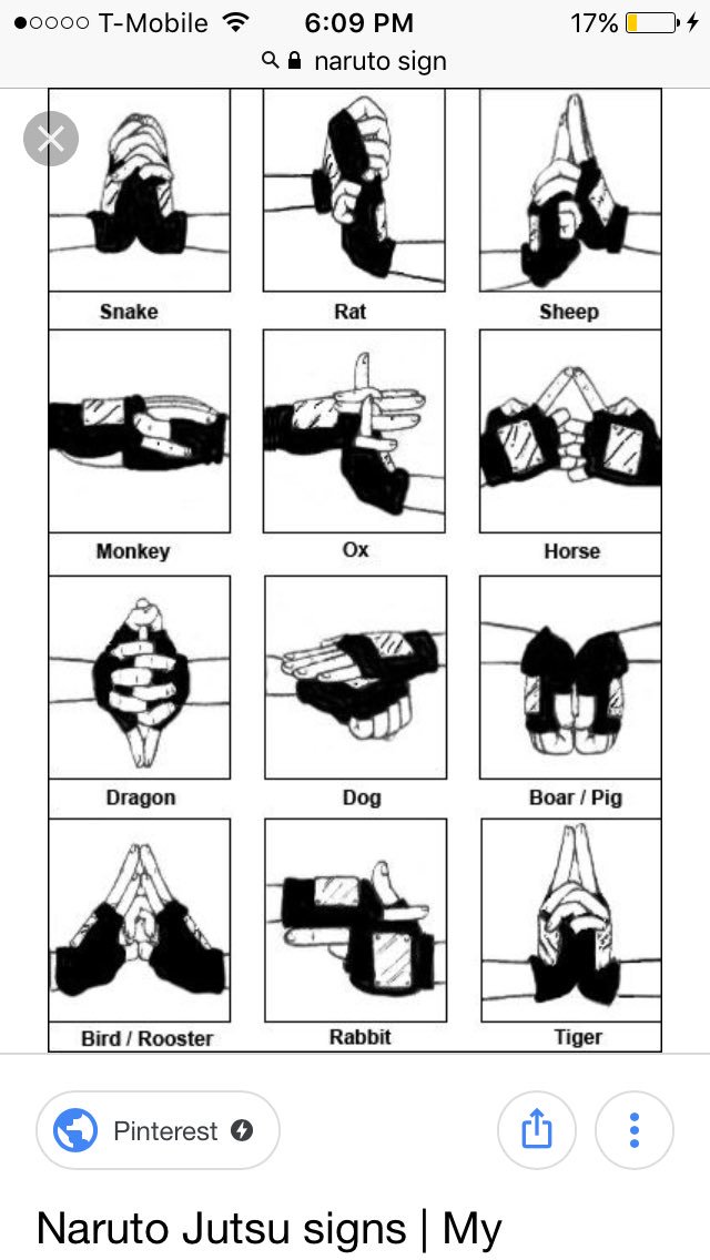 Water Dragon Jutsu Hand Signs