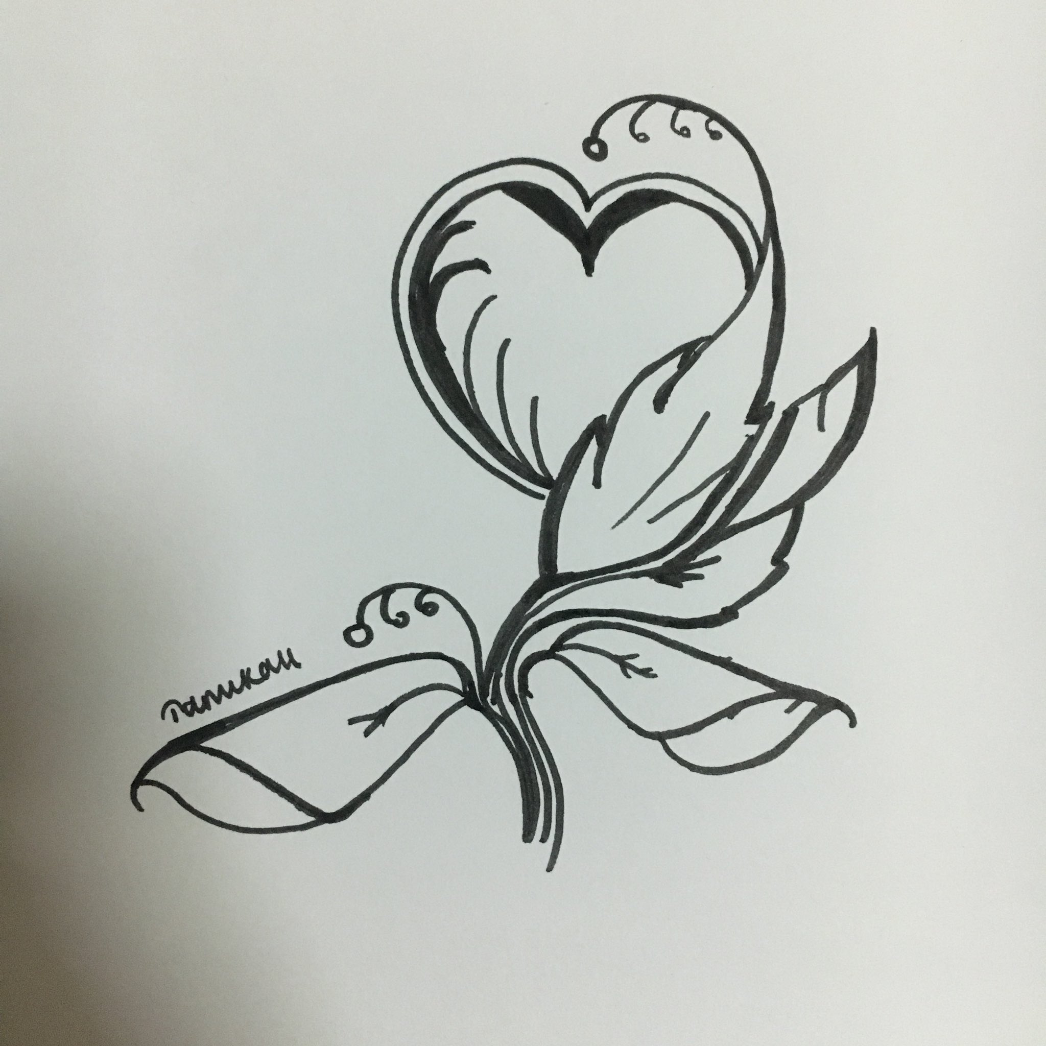 Simple Heart Design Drawing