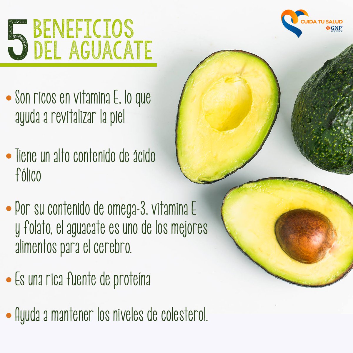 El Aguacate Y Sus Propiedades Y Beneficios Estos Beneficios - kulturaupice El Aguacate Y Sus Propiedades Y Beneficios Estos Beneficios - kulturaupice