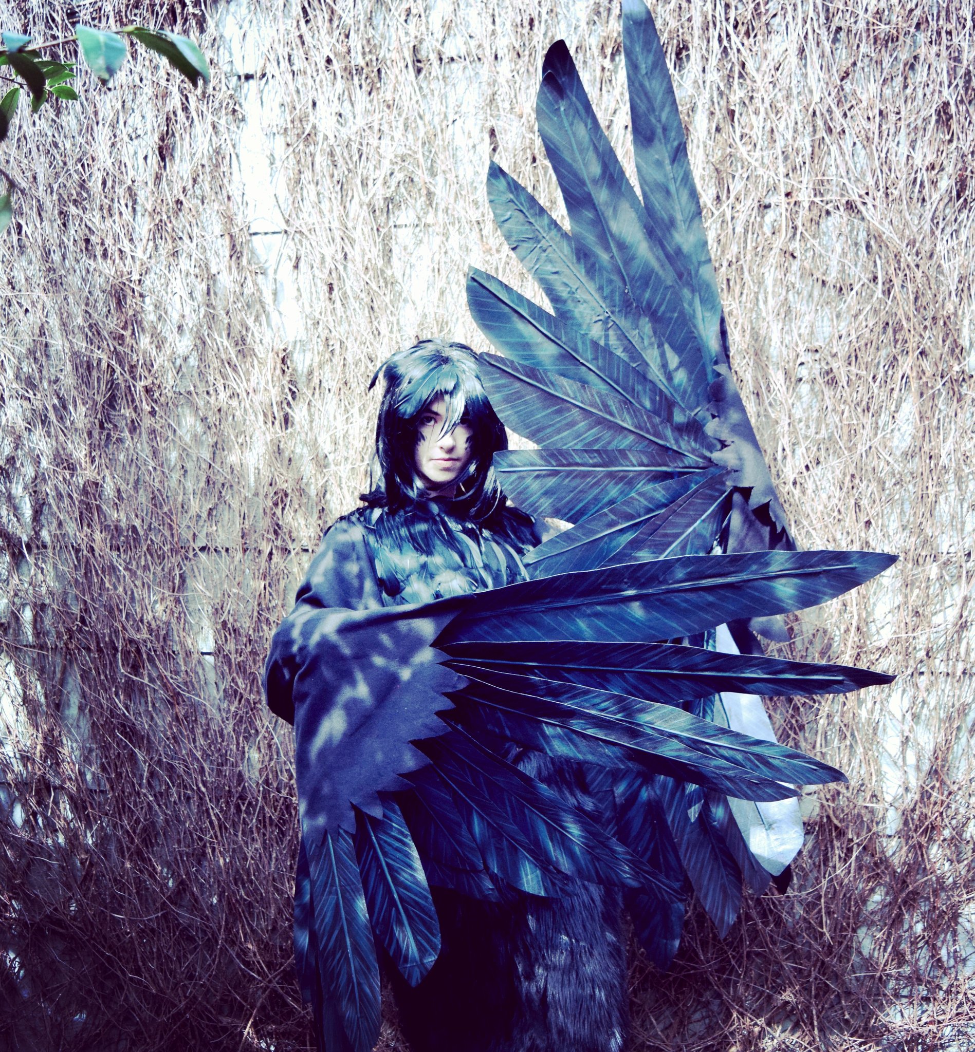 Howl Bird Cosplay