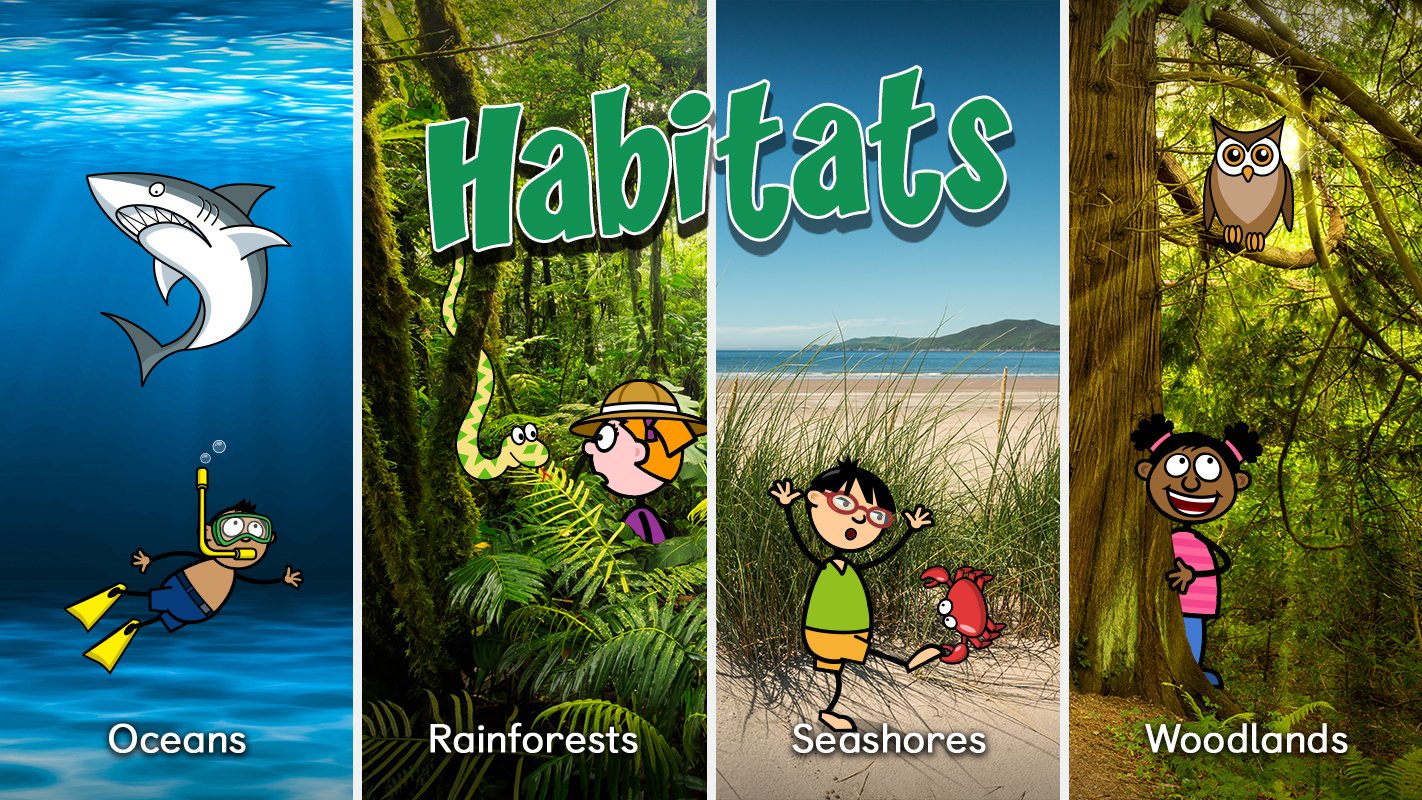 Habitats Ks1 What Is A Coastal Habitat? BBC Bitesize